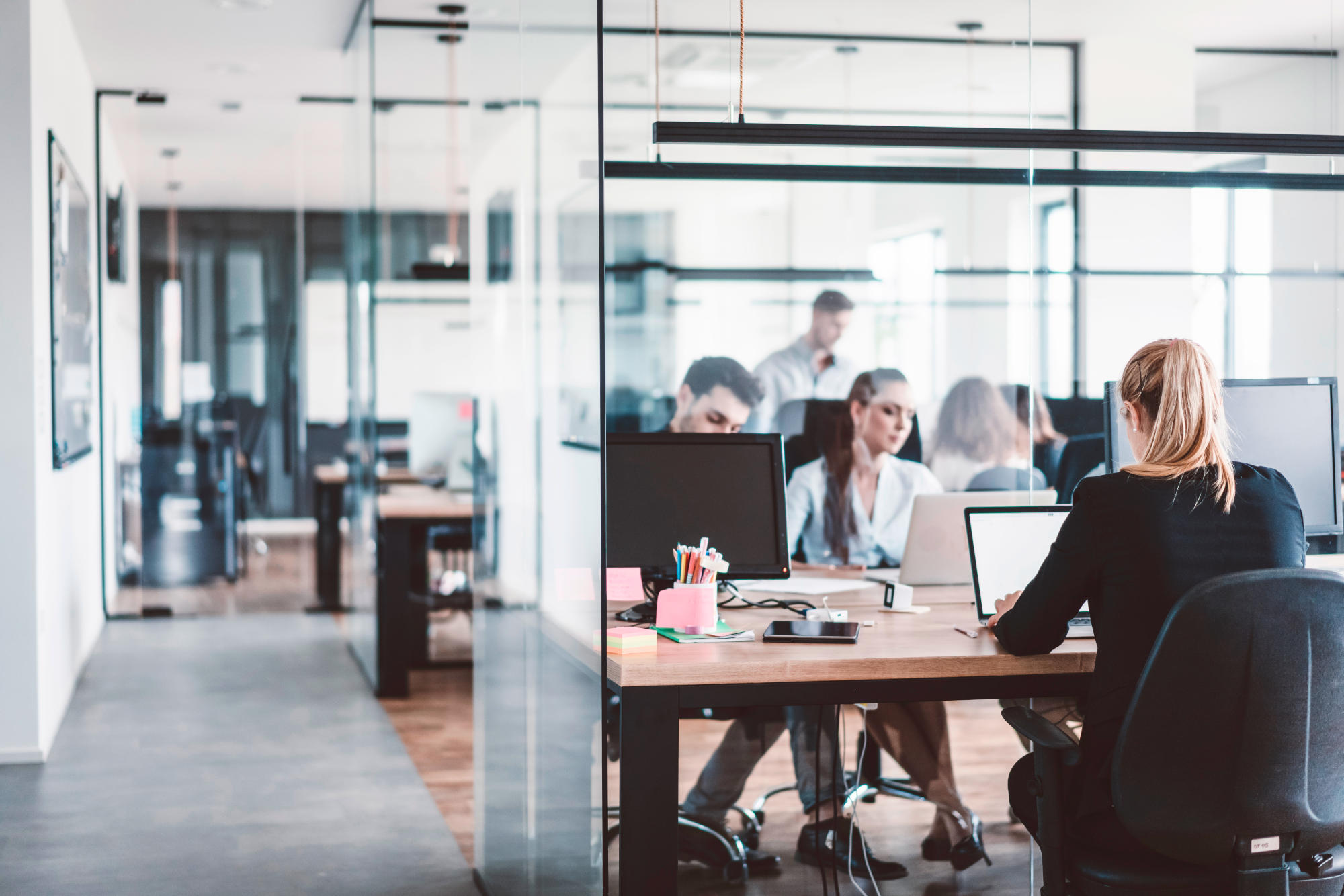 OCT Pro Service - OCT